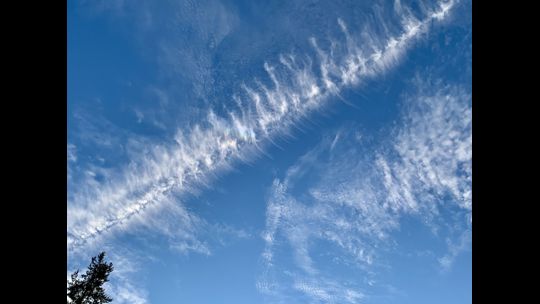 Near Me | Photos and Videos | king5.com