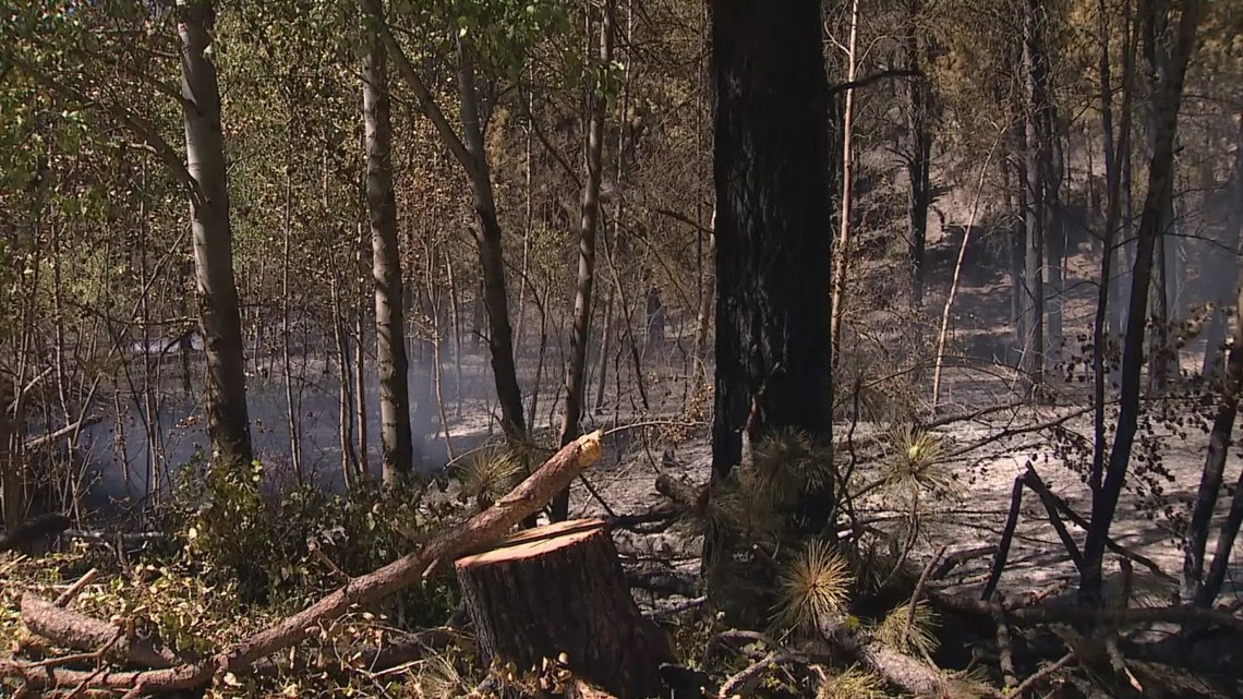 Firefighters lift evacuation orders for I-90 fires | king5.com