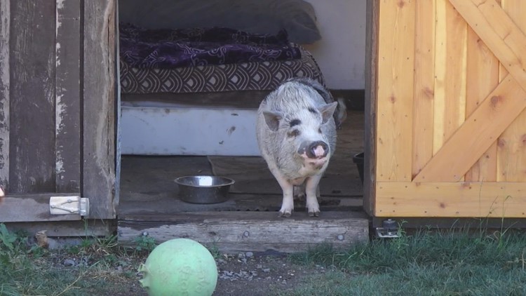 Explore the PNW | Seattle, WA | KING5.com | king5.com