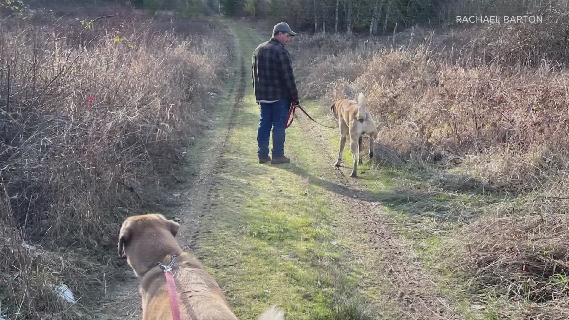 New details in search of missing Thurston County man | king5.com