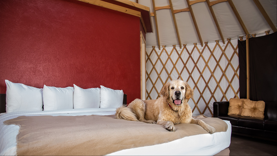 The doggone best places to go for a weekend getaway | king5.com