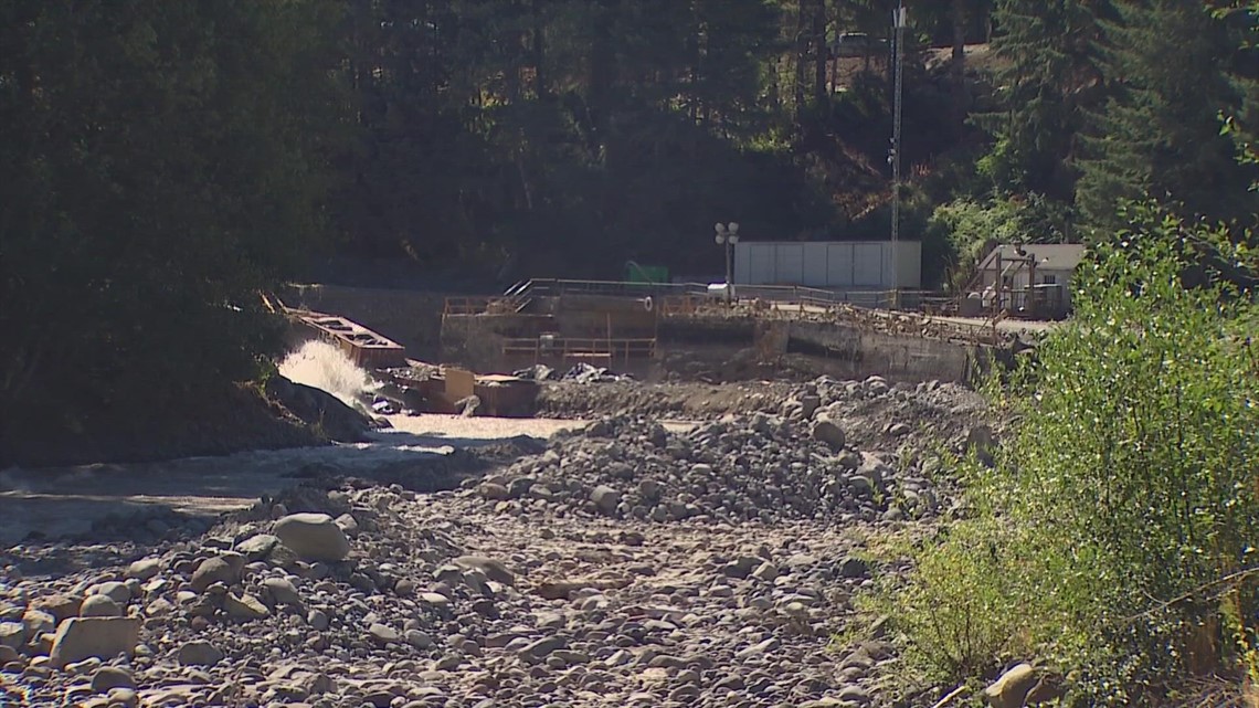 Court rules Electron Dam must remove rocks along Puyallup River | king5.com