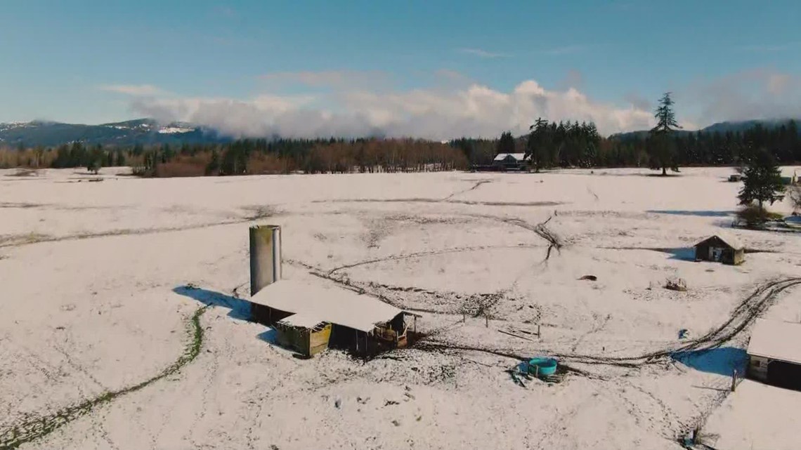 Snow falls in Snohomish County lowlands | king5.com