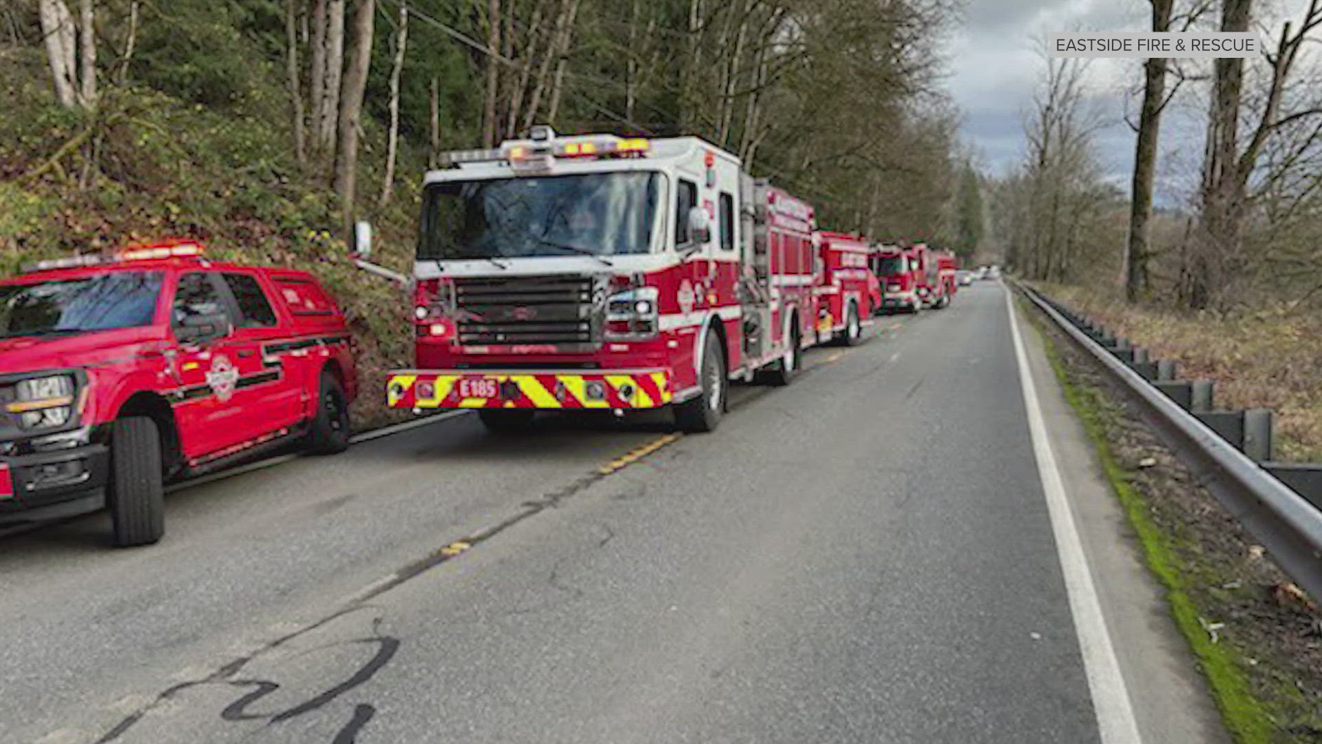 Falling tree kills 1, critically injures another on SR 203 near ...