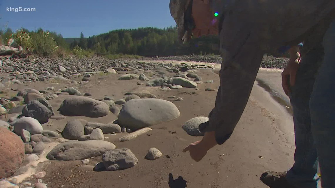 Owner of 117-year-old Electron Dam fined for polluting Puyallup River ...