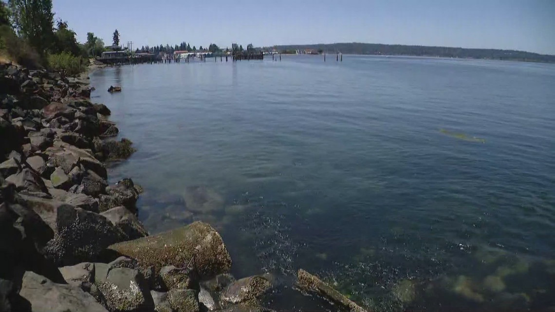 Attorney for family of man who drowned at popular Tacoma park speaks ...