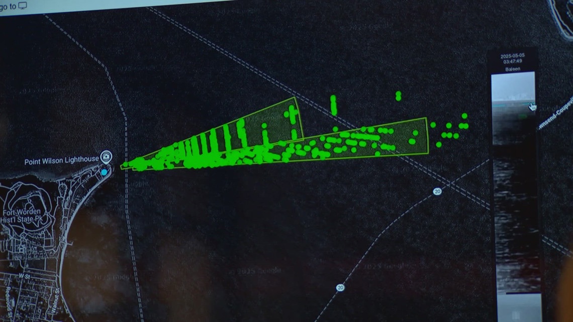 Infrared camera aids orca monitoring in western Washington | king5.com