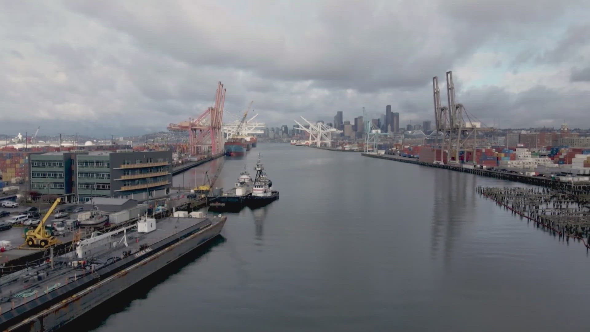 Seattle imports plunge 25% as tariffs hit local businesses | king5.com