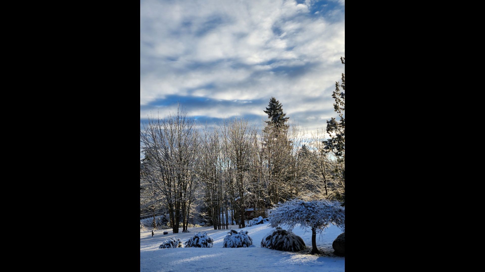 Near Me | Photos and Videos | king5.com