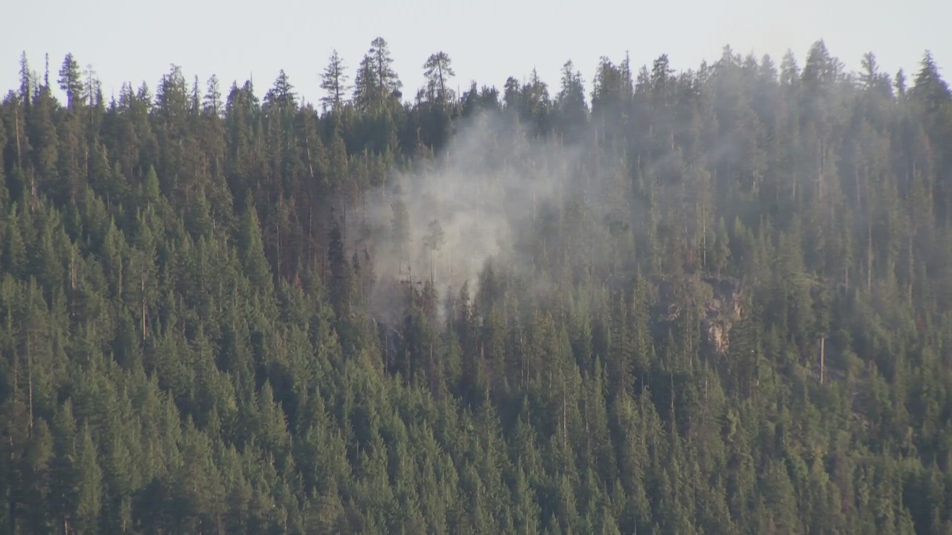 Military fighter jet crashes just south of Mt. Rainier, sparking ...