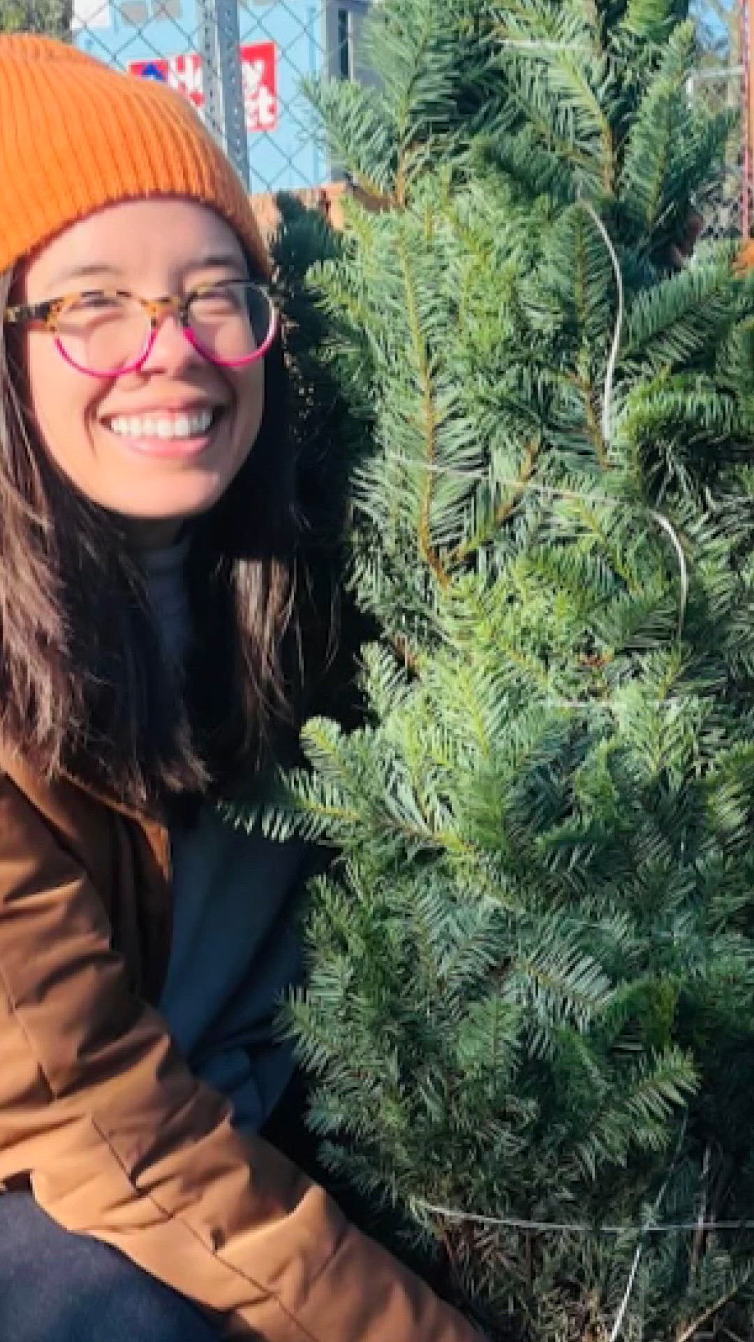 El Centro de la Raza Christmas Tree Sale | king5.com