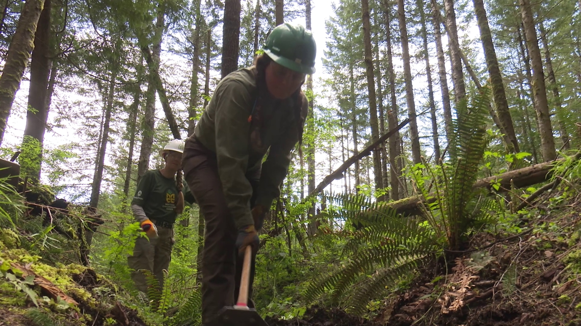 Tiger Mountain Summit Trailhead to close for almost 5 months starting ...