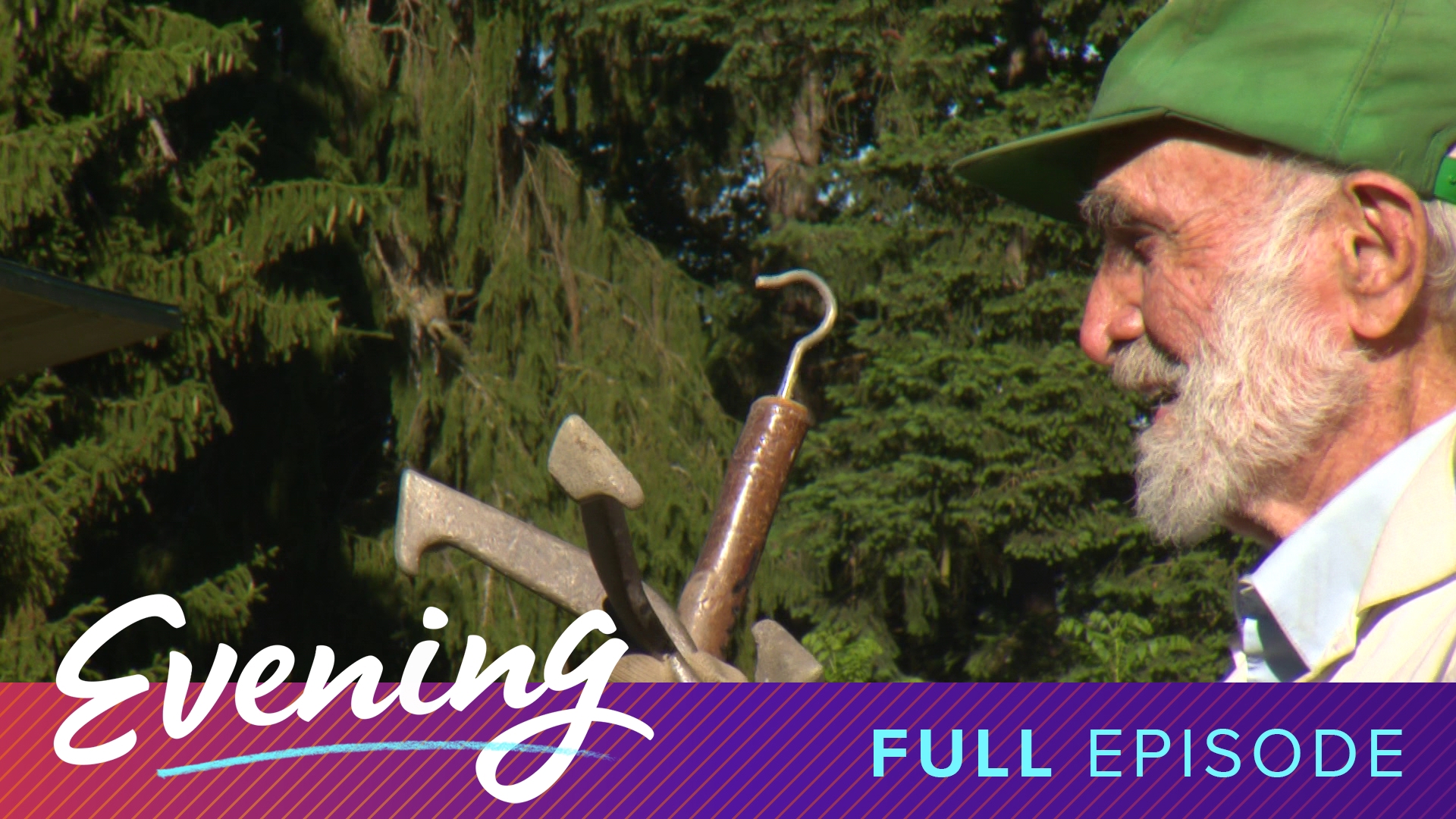 Evening Full Shows | Seattle, Washington | king5.com