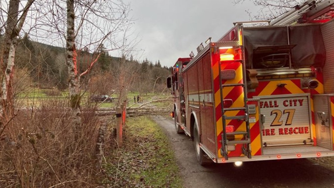 Tree falls on woman in Fall City during wind storm | king5.com