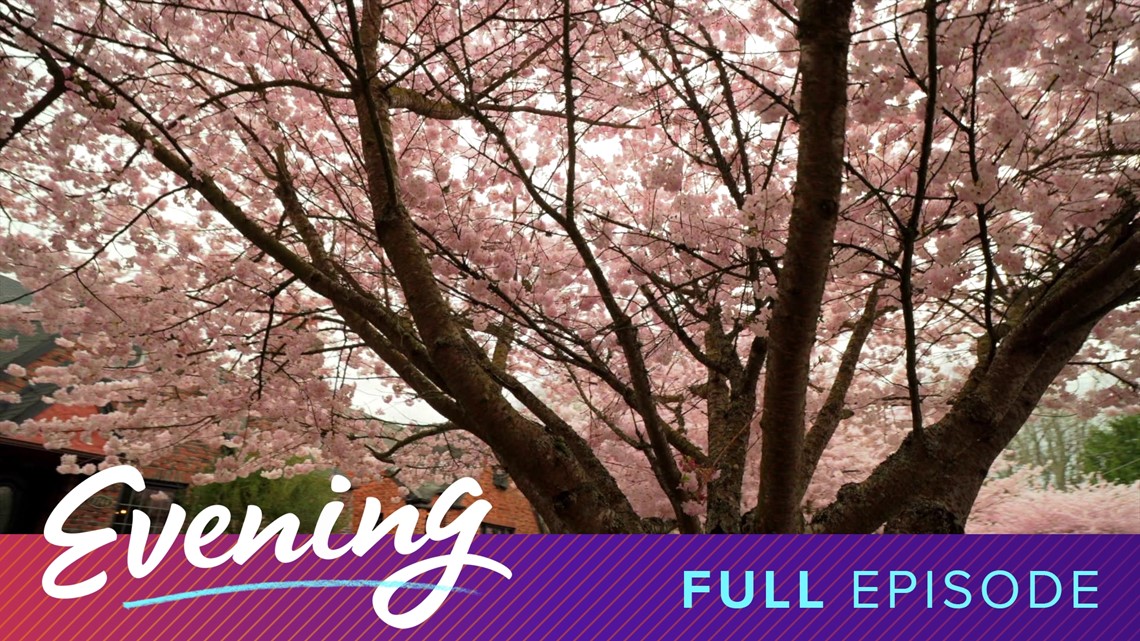 Seattle tree walking guide, Neil deGrasse Tyson and the fish doorbell ...