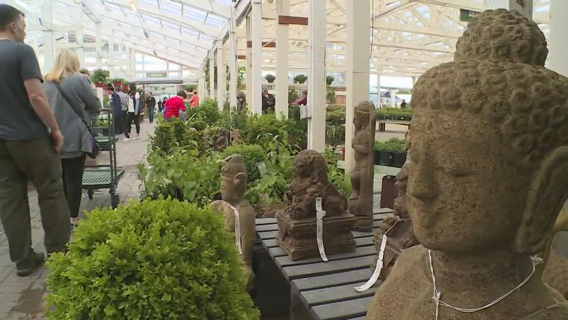 Family-owned Furney's Nursery closing after 70-plus years of planting ...