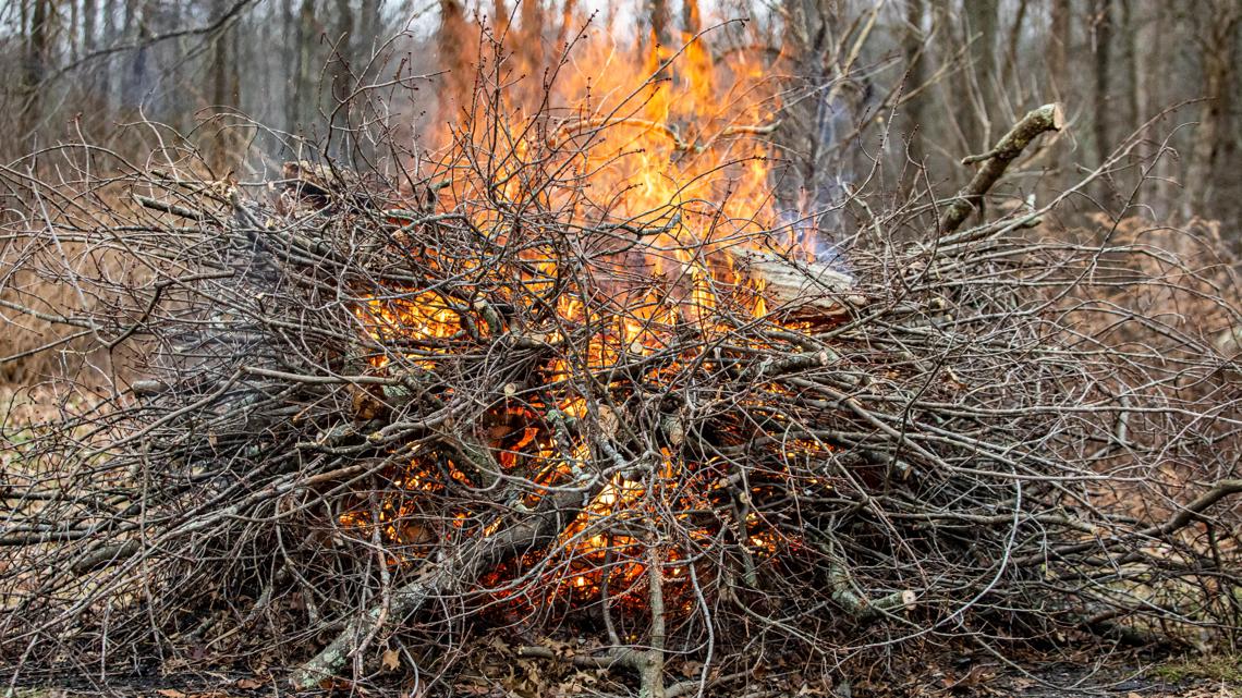 Stage 1 burn ban to limit outdoor burning across Snohomish County ...