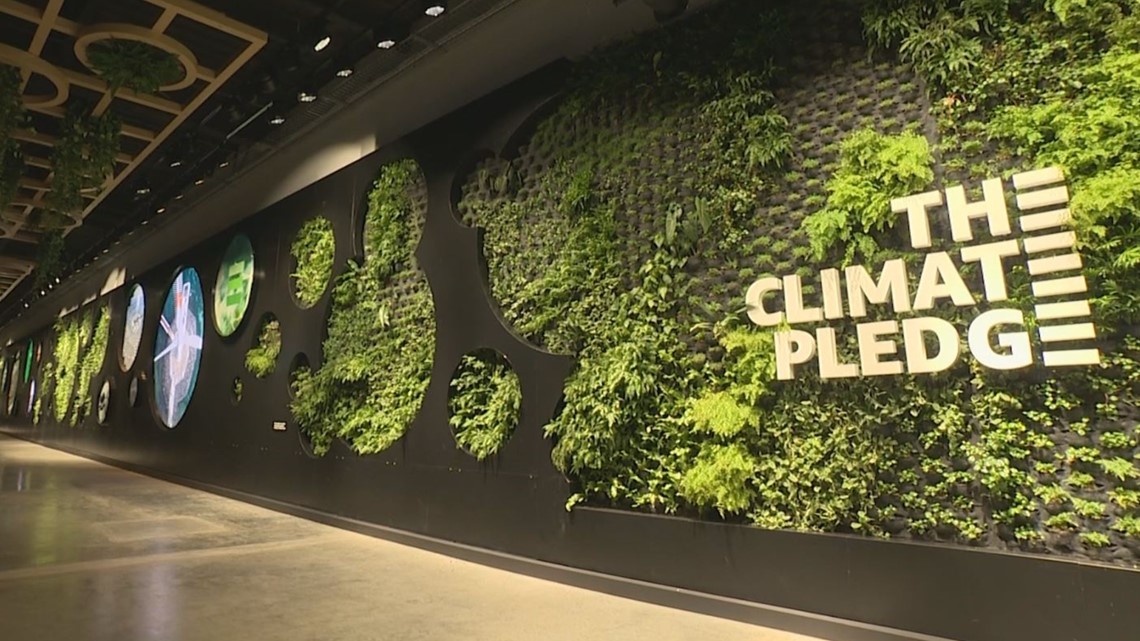 The Living Wall is Climate Pledge Arena's Most Insta-worthy spot ...