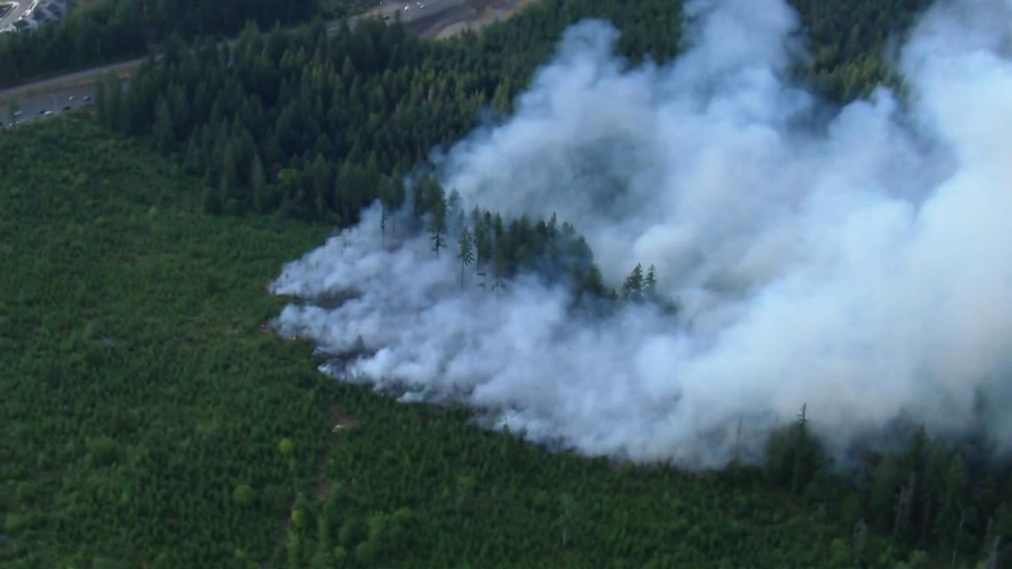 Crews battle large brush fire in Bonney Lake | king5.com