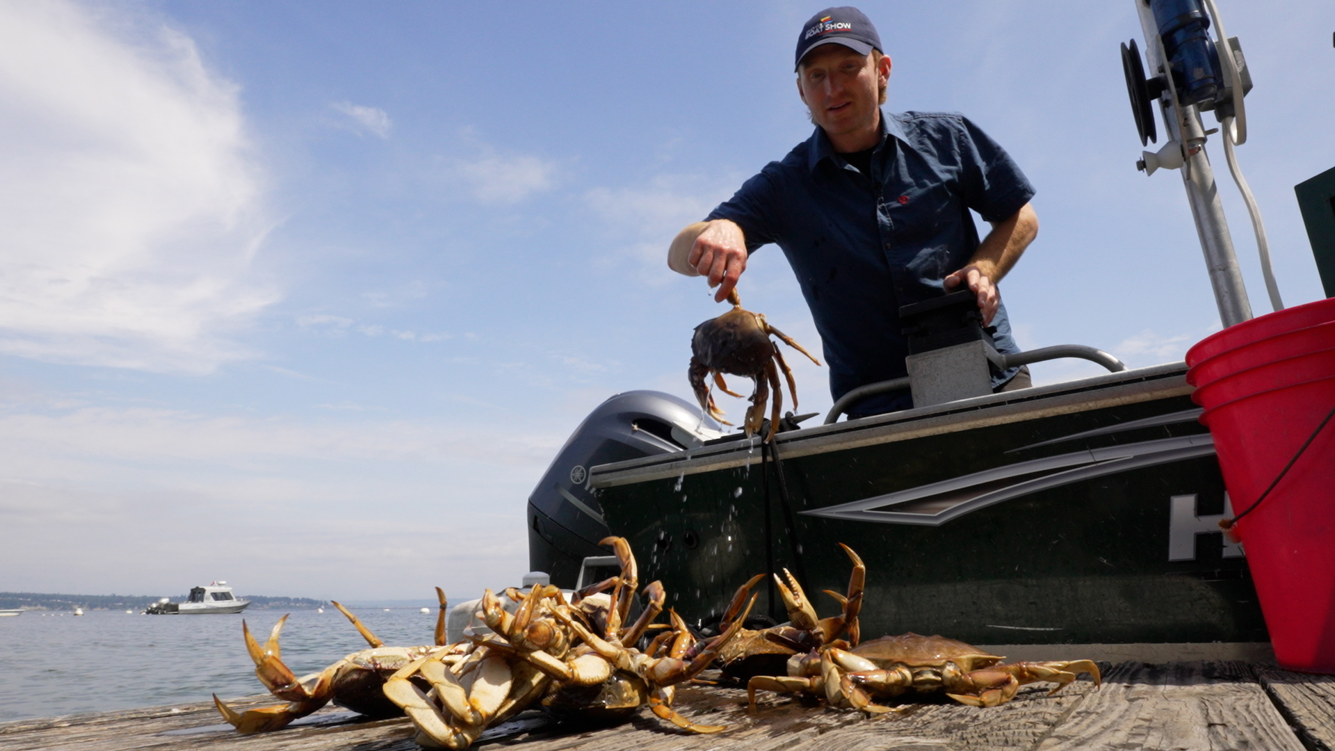 Discover the Dungeness crab paradise along the Puget Sound | king5.com