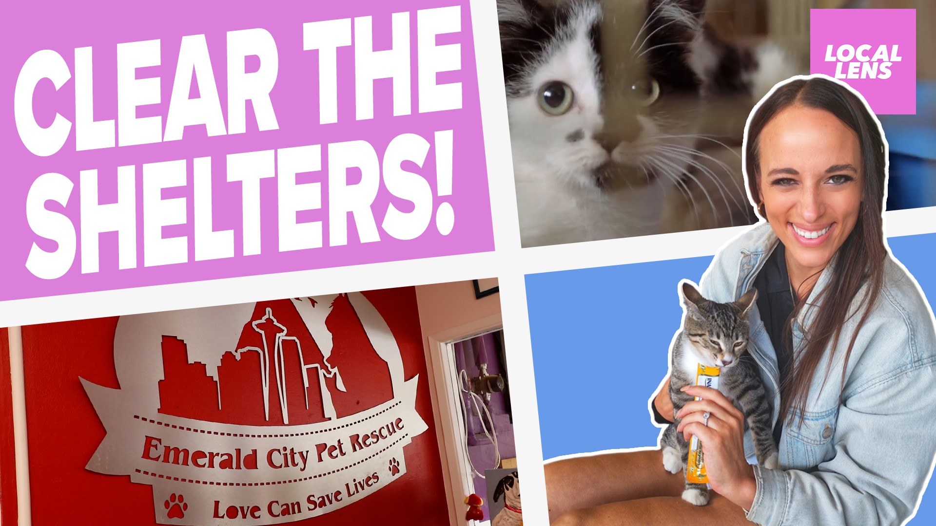 Local Lens Seattle: Clear the Shelters pet adoption in Seattle | king5.com