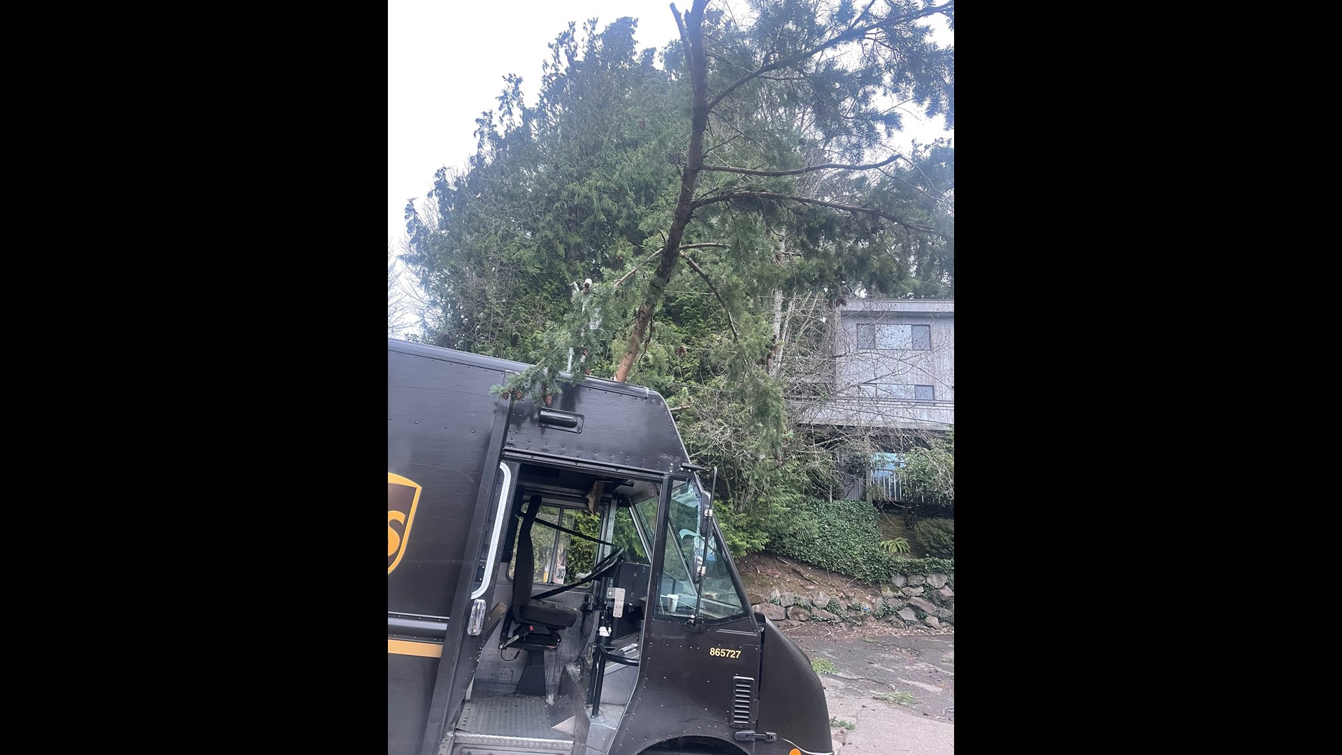 Winds calming after storm knocks out power, downs trees in western ...