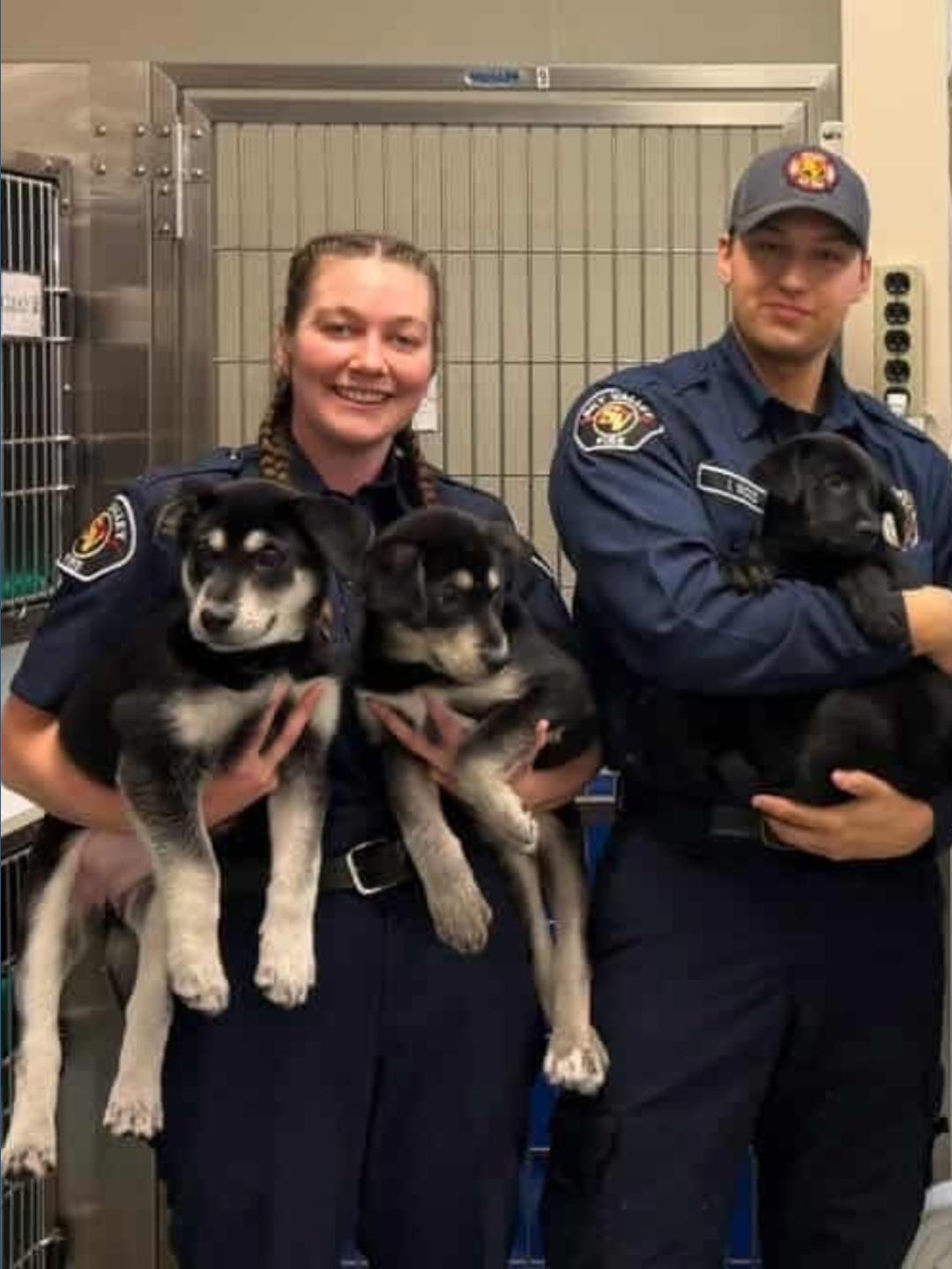 Skagit River dike holds, but the worst is yet to come | king5.com