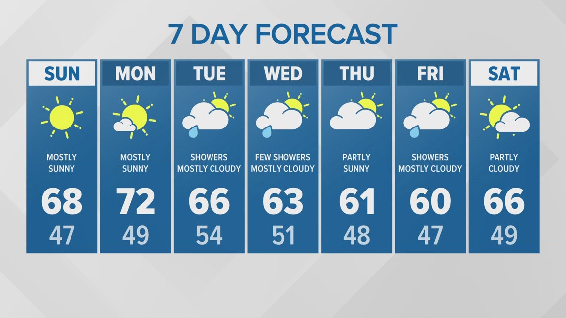 Milk Street's new book "Cookish" puts a fresh take on fast food at home ...