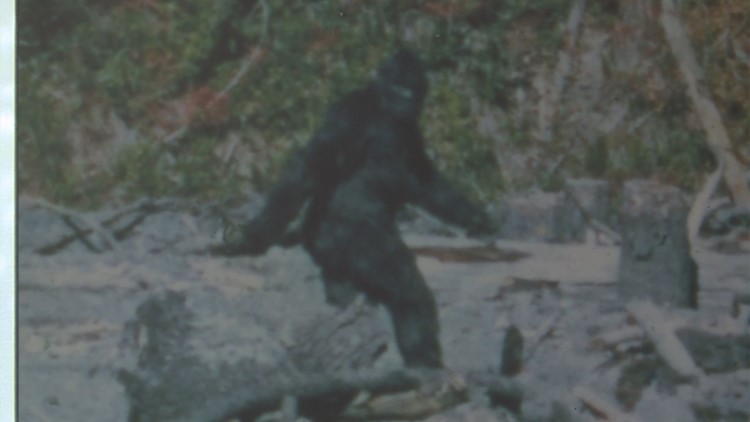 Real or hoax? A new Bigfoot exhibit is drawing standing-room crowds in ...