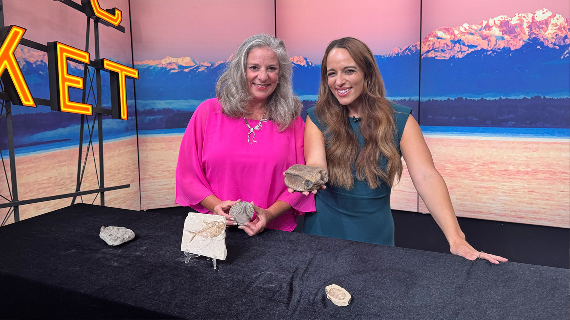 This trip takes you on a tour of dinosaur fossils and the ancient world ...