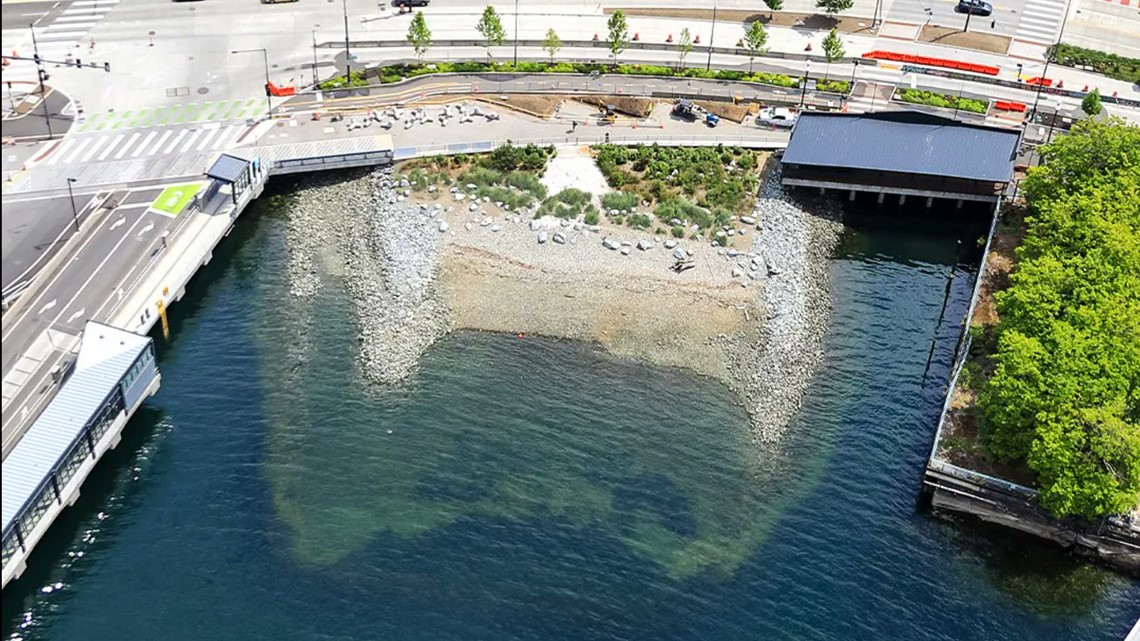 Pioneer Square Habitat Beach opens on Seattle waterfront | king5.com