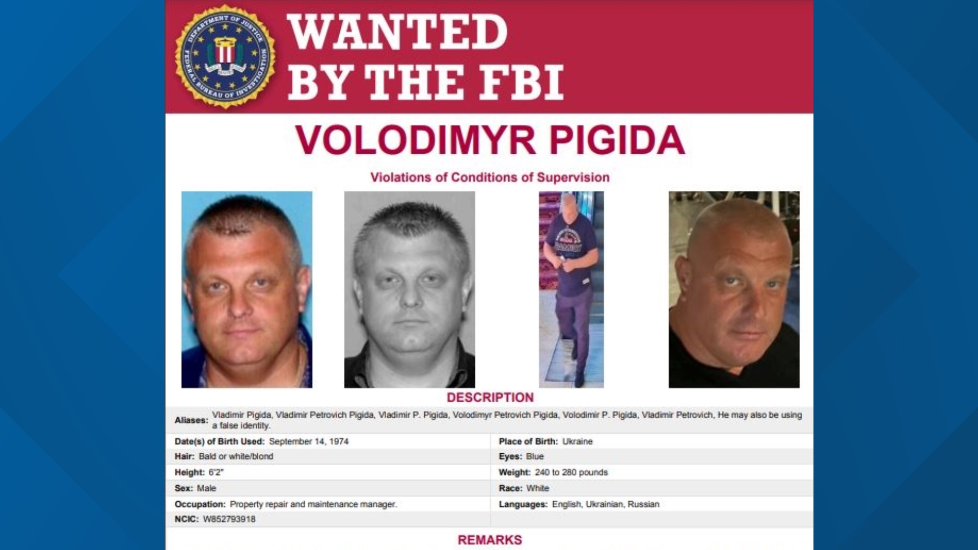 Former Bellevue resident, convicted Ponzi schemer arrested in Florida ...