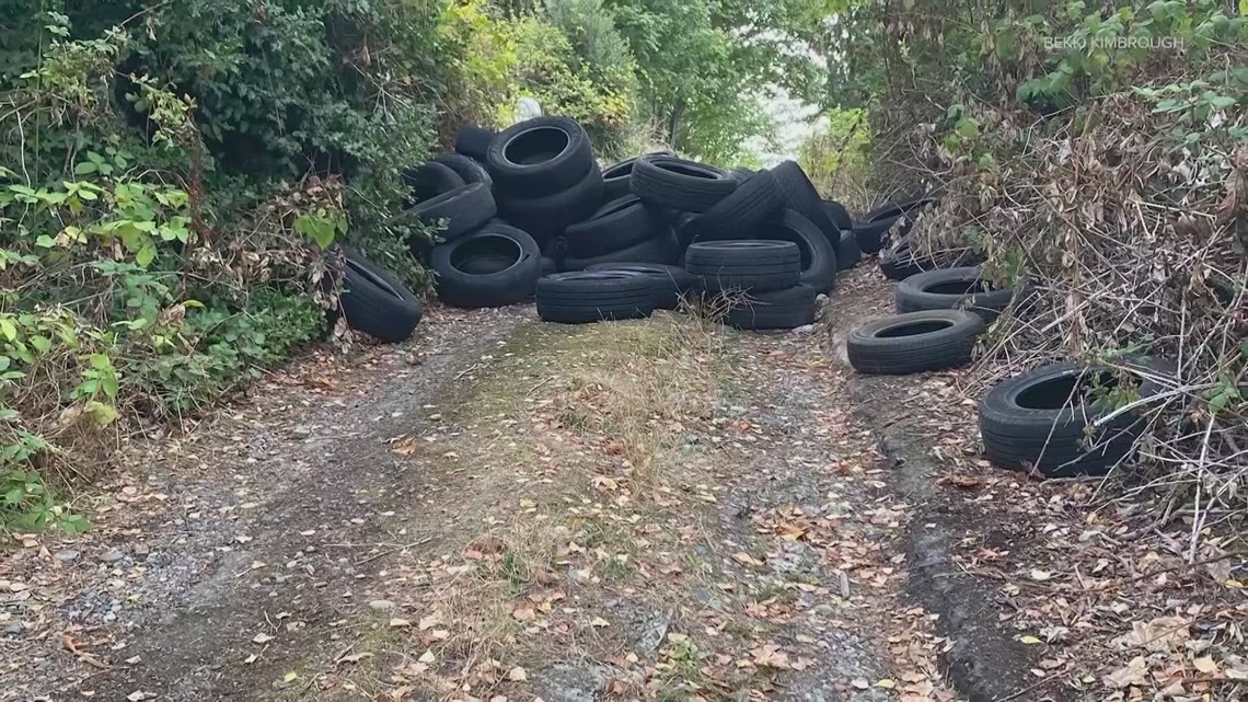 Officials say illegal tire dumping in Seattle is a public safety hazard ...