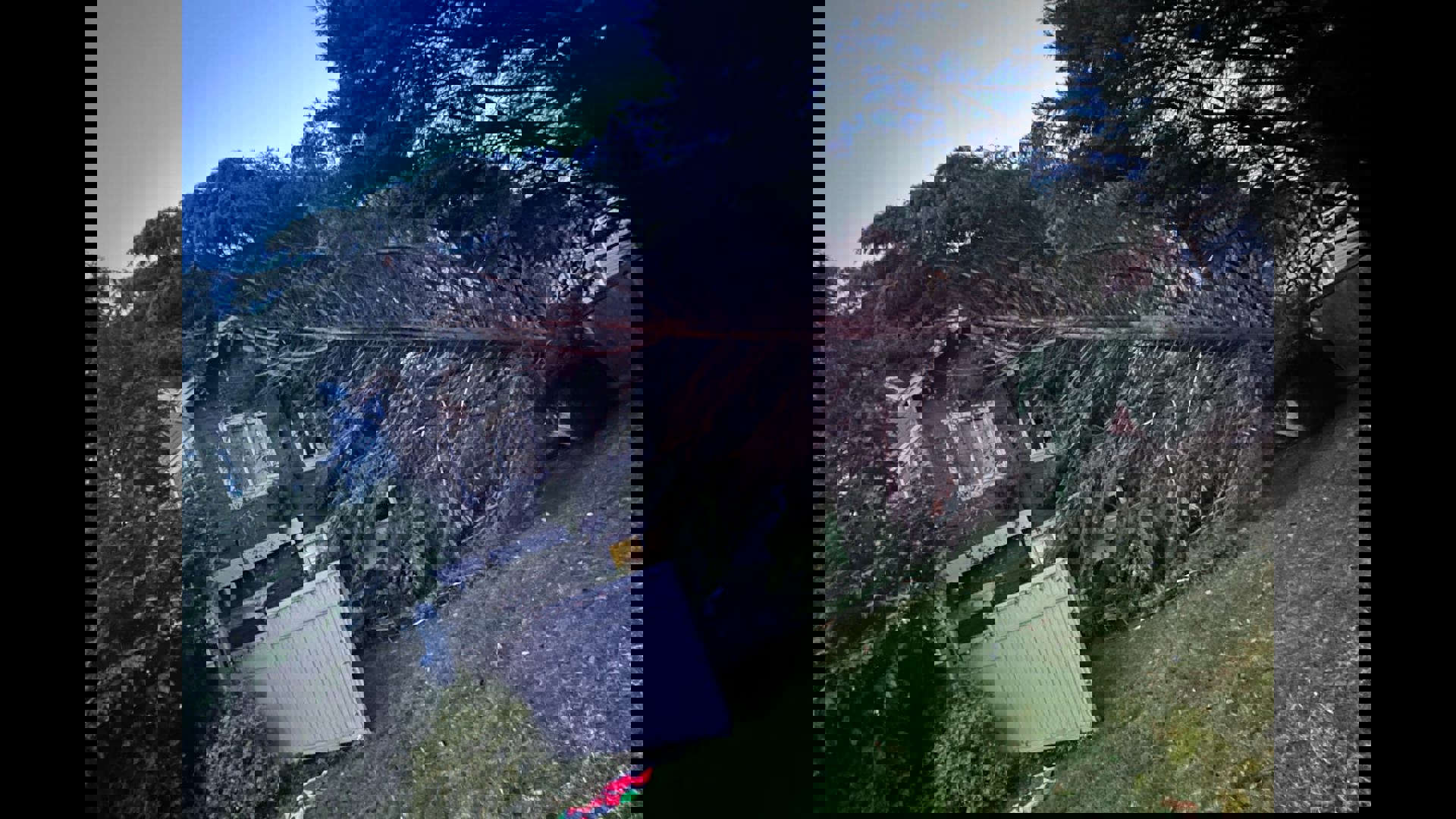 Near Me | Photos and Videos | king5.com