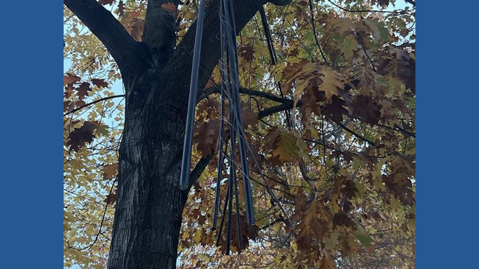 Vandalism in Kent disrupts Comcast services, repairs ongoing | king5.com