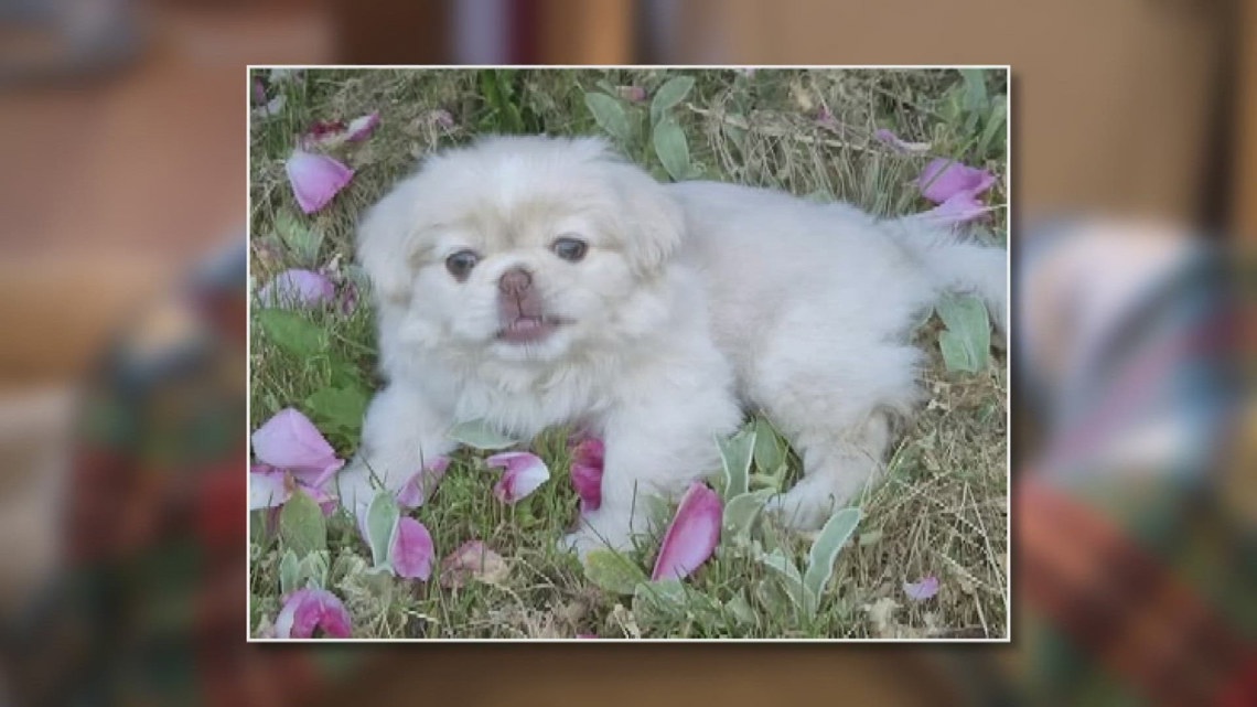 KING Chief Meteorologist Jeff Renner retires after 39 years | king5.com