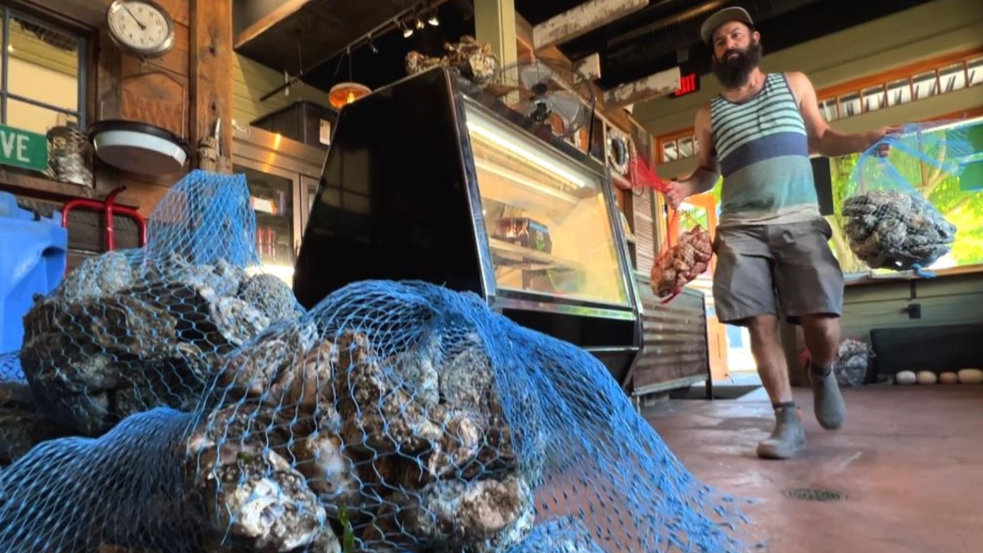 Farm to Table trails offer fun and the freshest possible food | king5.com