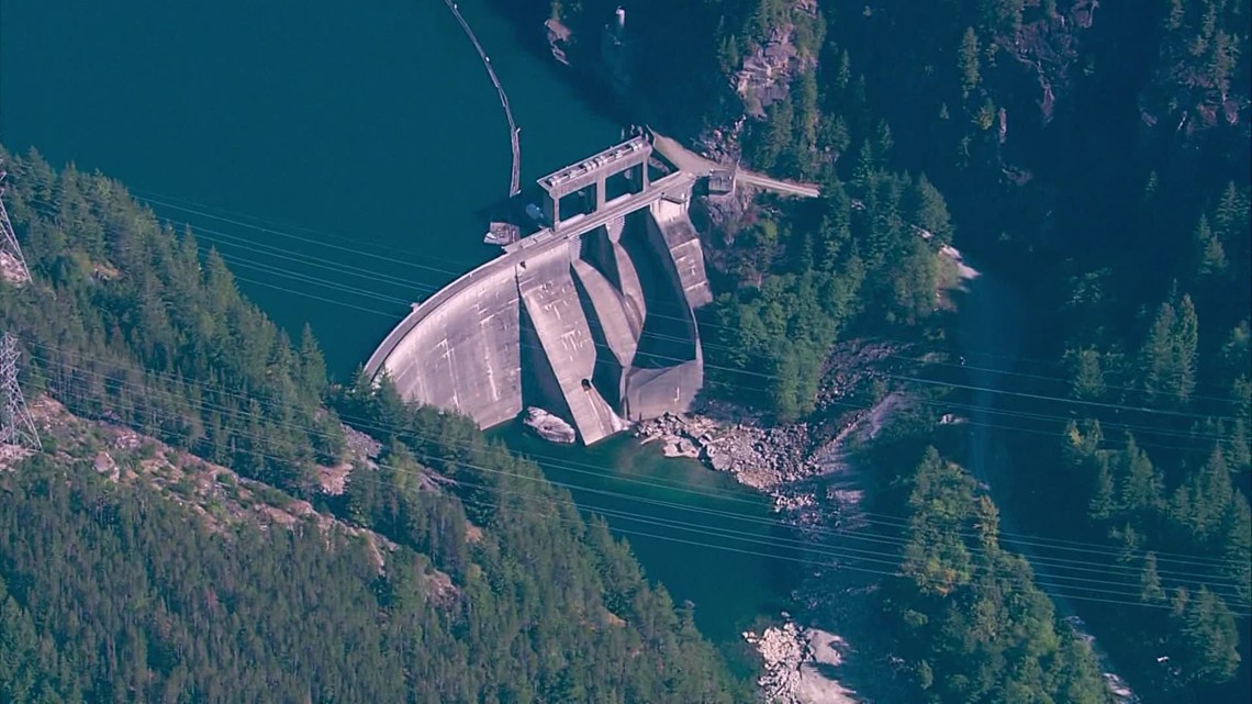 Seattle City Light creates $2.5 million fund to improve fish habitat on ...