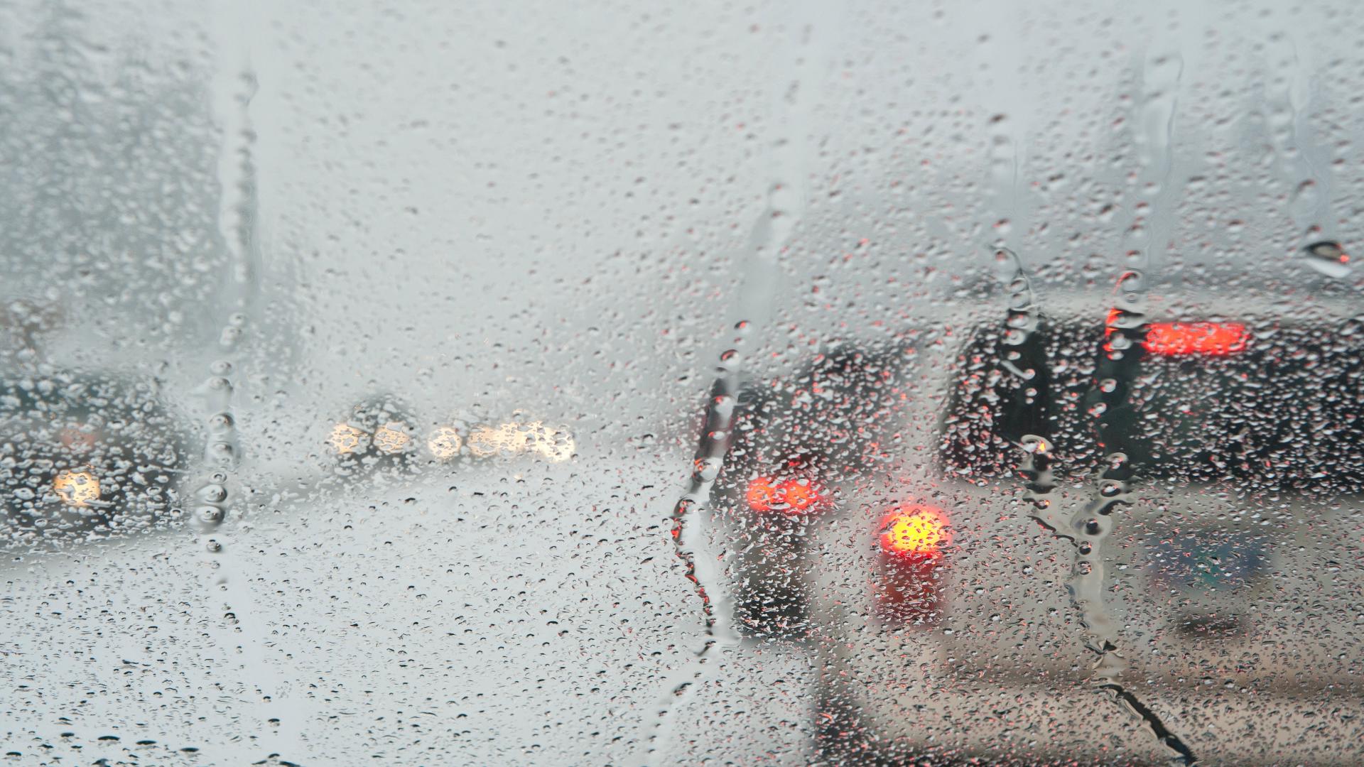 Hourly Weather Forecast | Seattle, Washington | king5.com