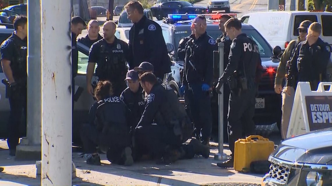 Wild police chase from Bellevue to Seattle started as domestic ...