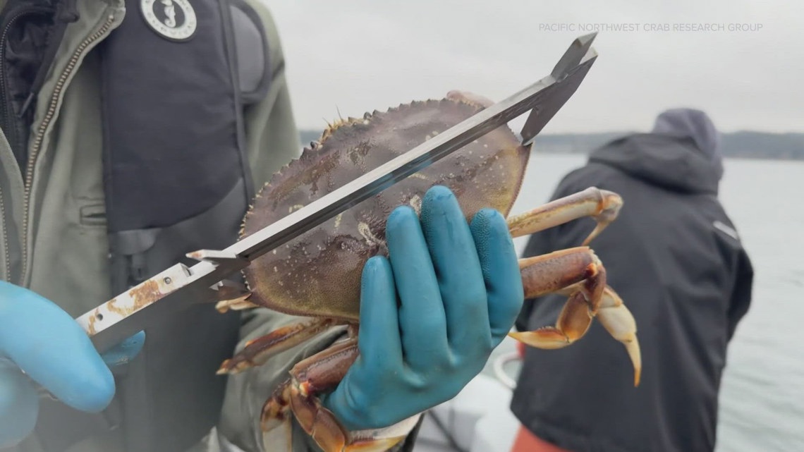 'All I know is prostitution': Former prostitute shares her experience ...