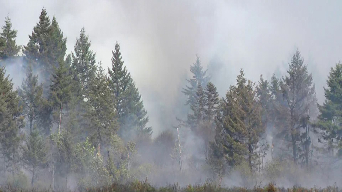 Mayoral Candidate Katie Wilson talks housing, transit and Trump ...