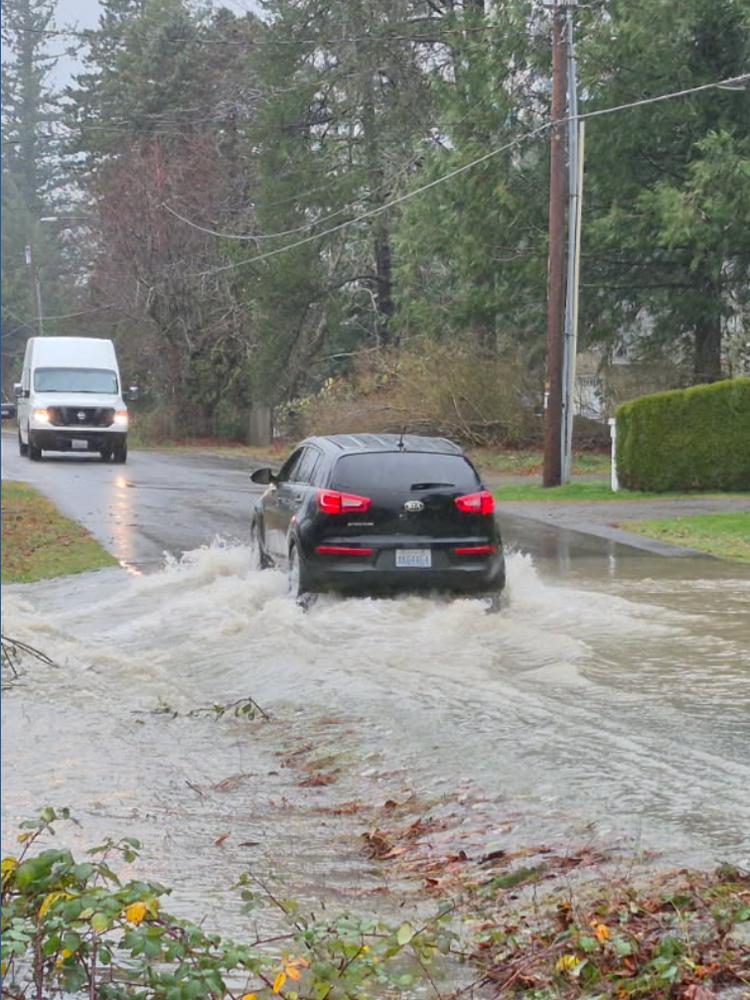 Maddie White | king5.com