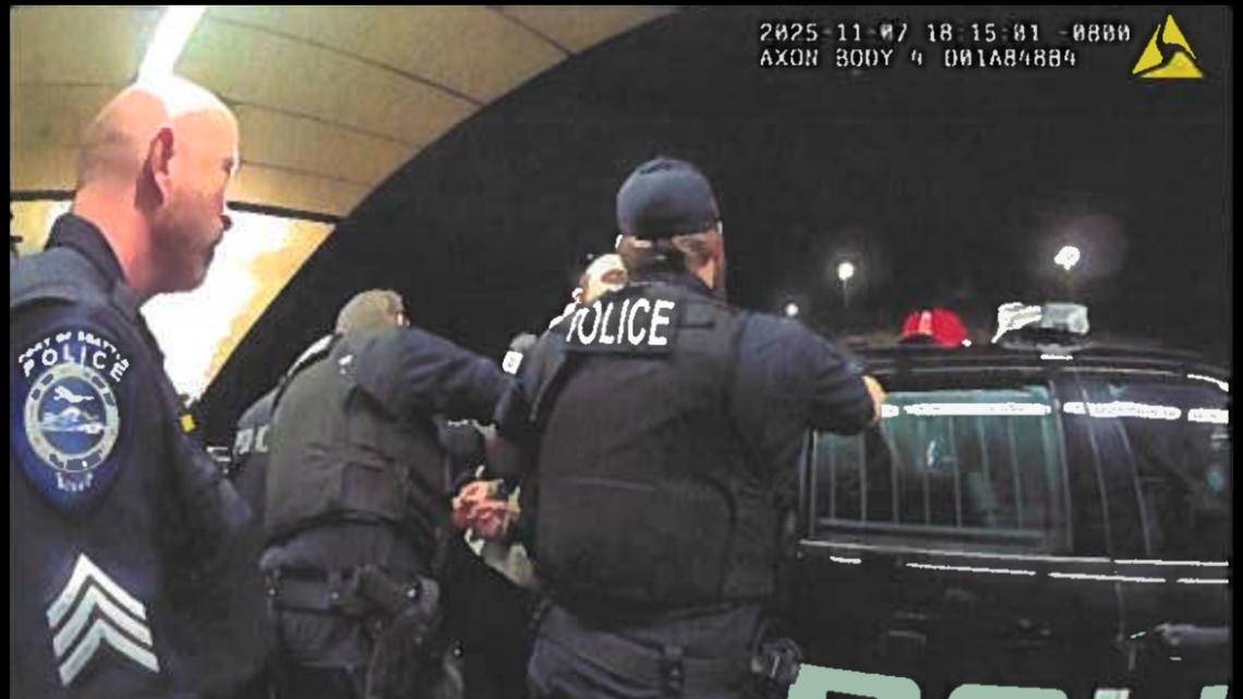 Intoxicated traveler accused of spitting on officer during arrest at ...