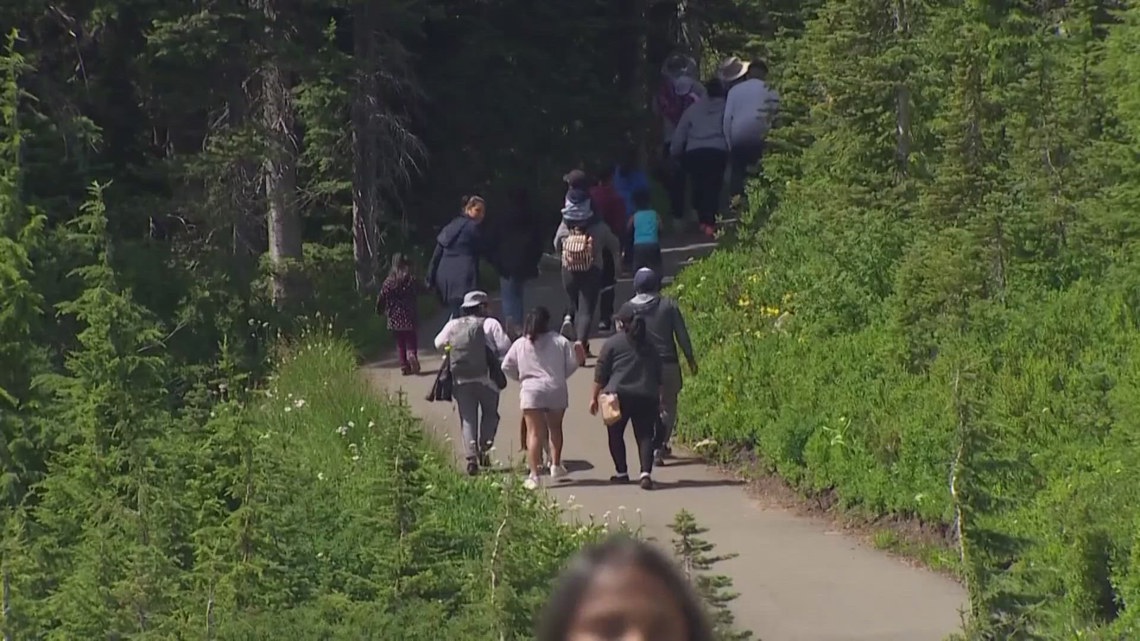 Layoffs in National Parks and Forest Service raise safety concerns for ...