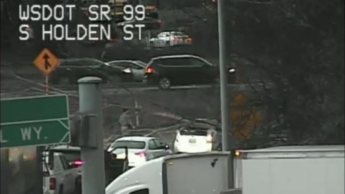 Tree falls on car on northbound SR 99 on-ramp in Seattle | king5.com