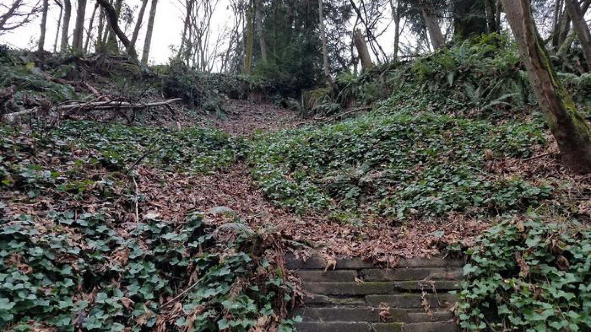 UW researchers map landslides in Seattle Fault earthquake study | king5.com