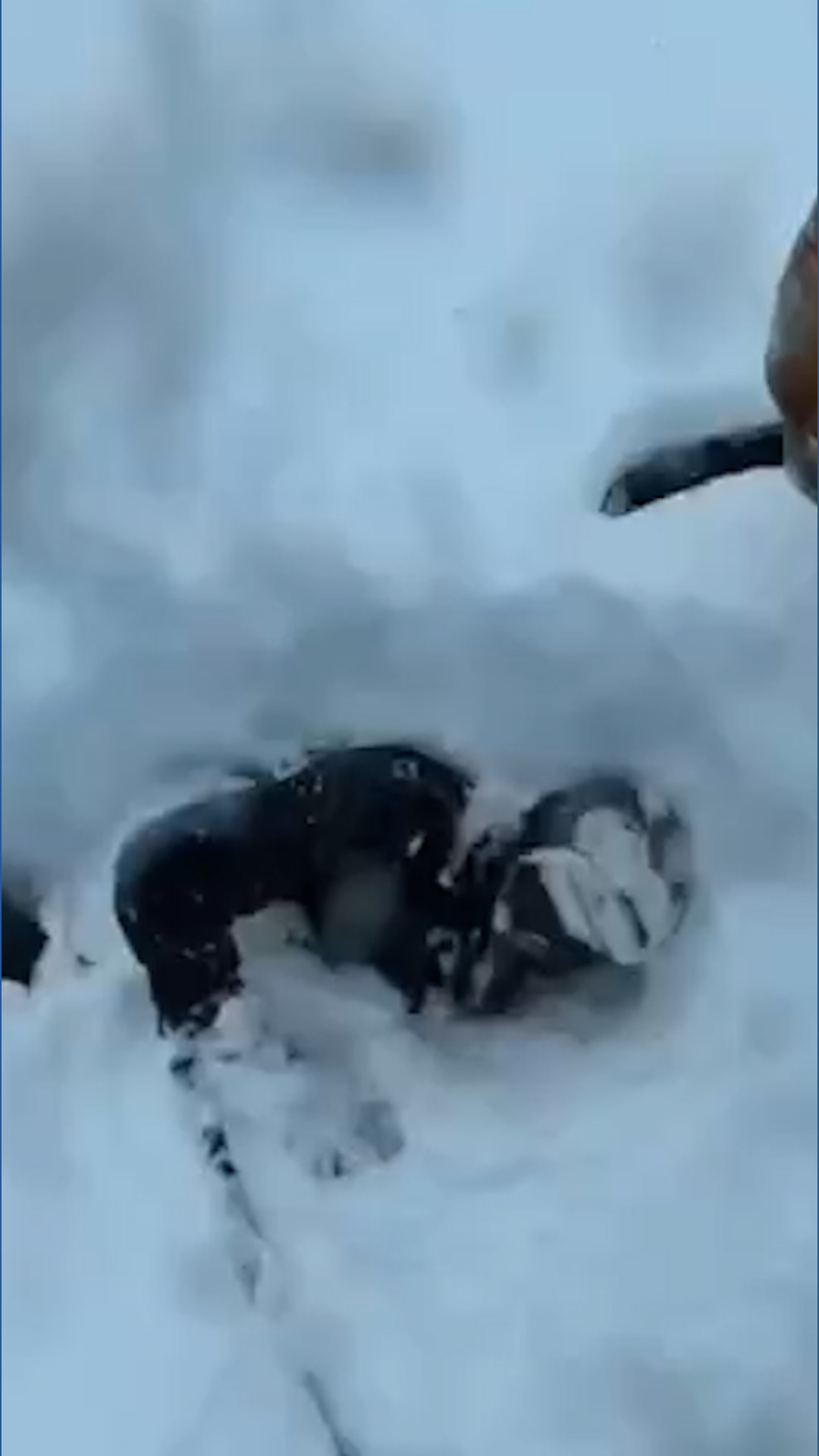 Skier rescued from deep snow at Snoqualmie caught on video | king5.com