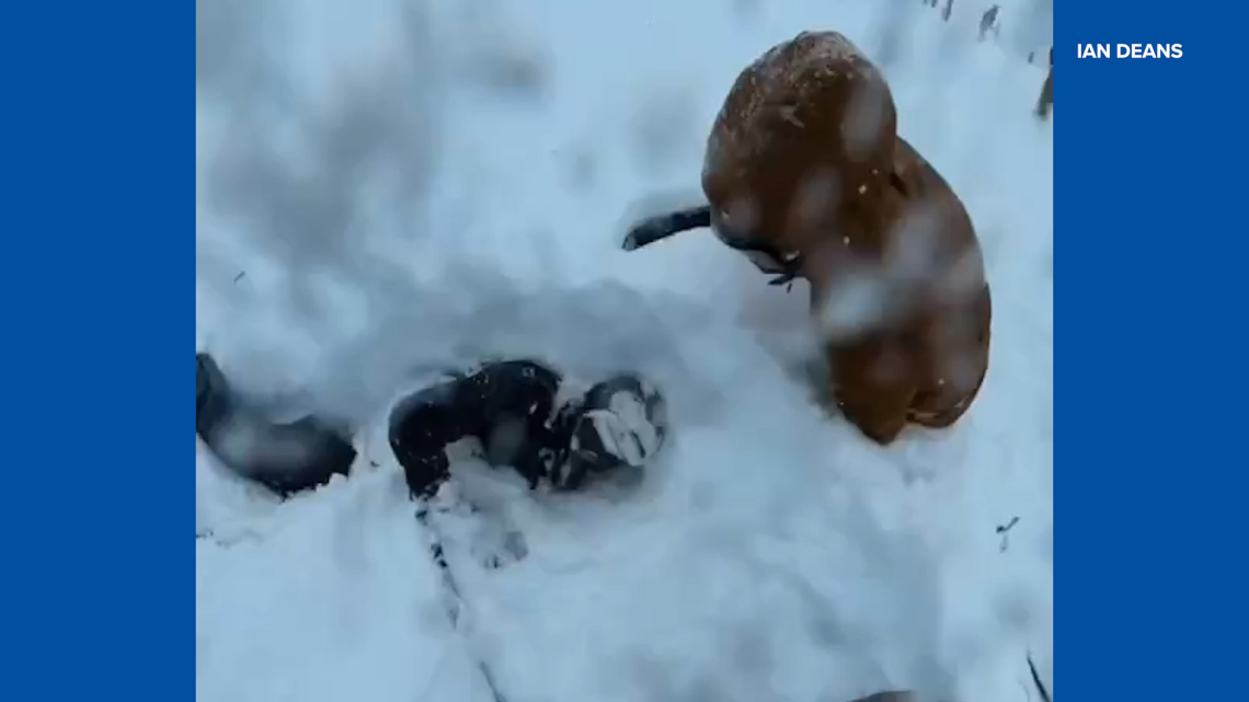 Skier rescued from deep snow at Snoqualmie caught on video | king5.com