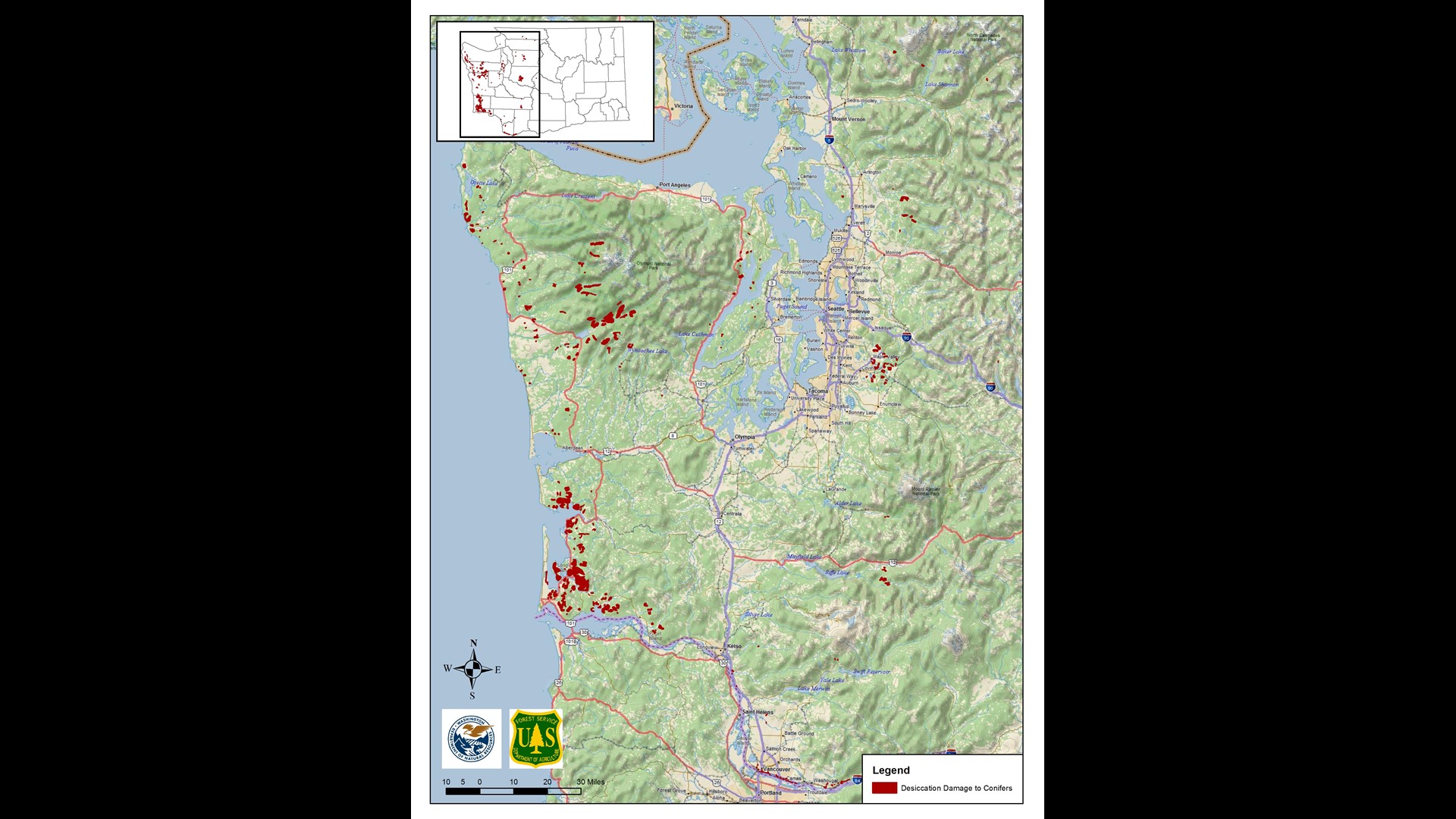 Western Washington saw highest concentration of damaged trees from heat ...